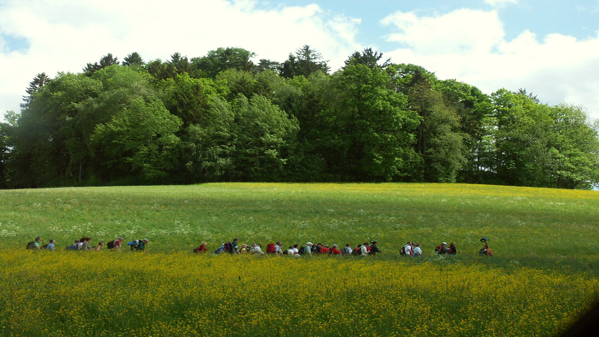 Pilgerwege durch das Innviertel