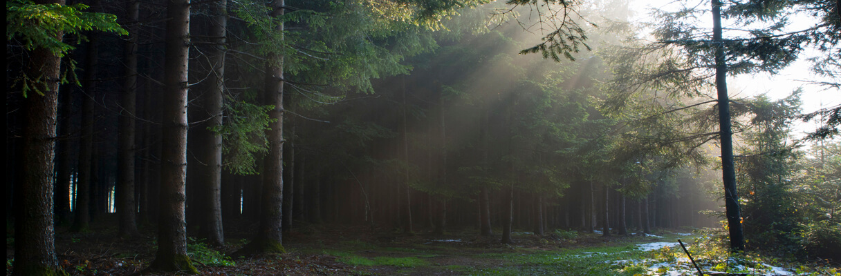 Wandern im Innviertel