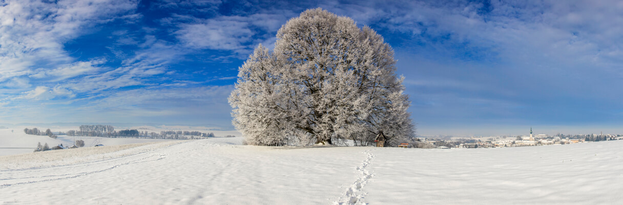 Urlaub im Innviertel